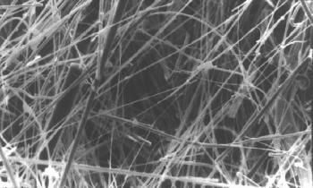 What Does Asbestos Look Like Under A Microscope